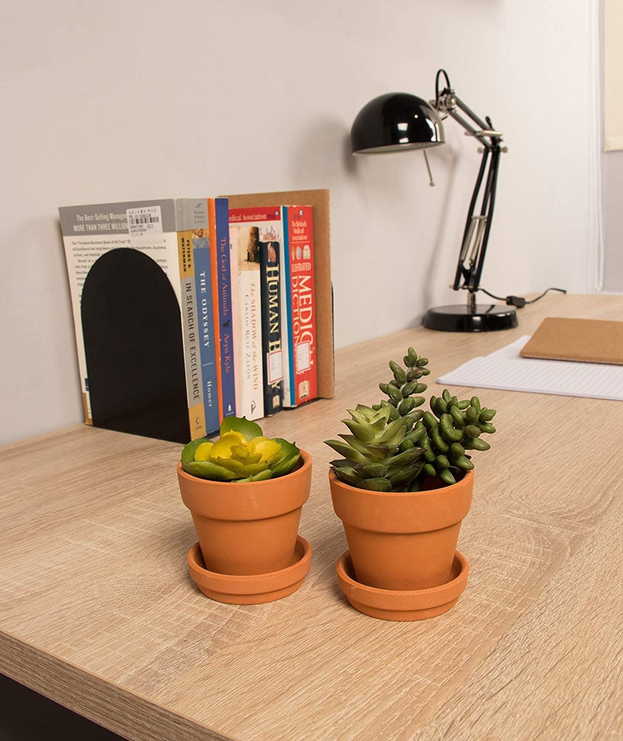 12-Pack of Small Terra Cotta Plant Pots with Matching Saucers, 7 x 6.5 ...