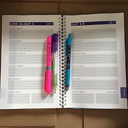 Saunders Guide to Success in Nursing School, 2016-2017: A Student ...