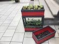 Garant KTPMGHGG Botanica Herbs Modular Garden Kit, (2 Planters and 2 ...