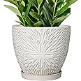 Amazon.com : G EPGardening 10 Inch Ceramic Planter Pot with Drainage ...