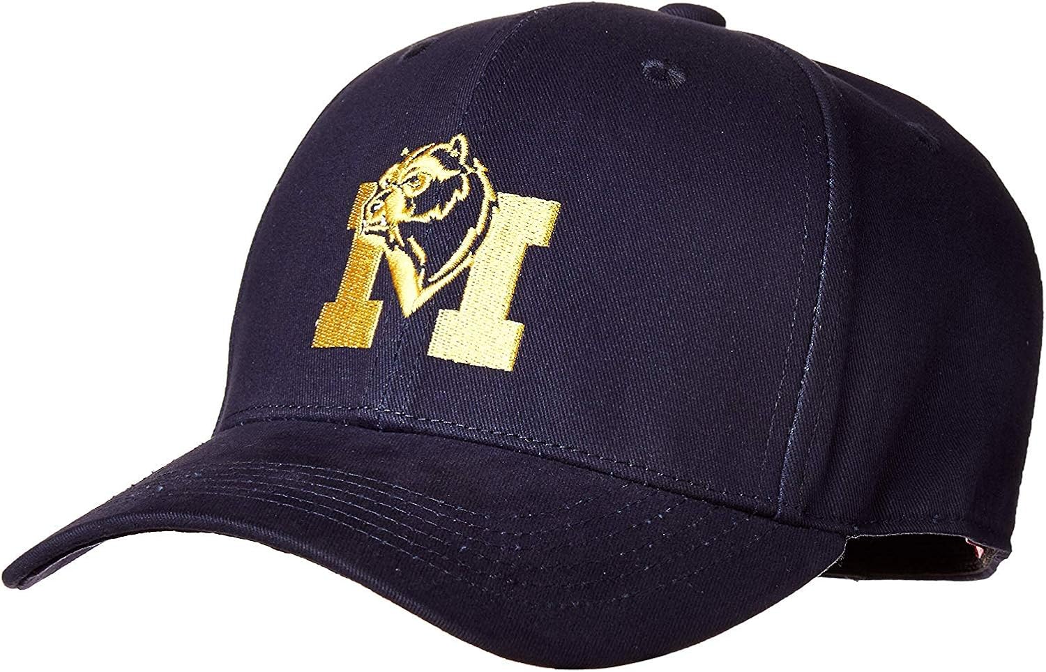 Amazon.com: Michigan Wolverines Classic Hat Fitted Cap: Clothing