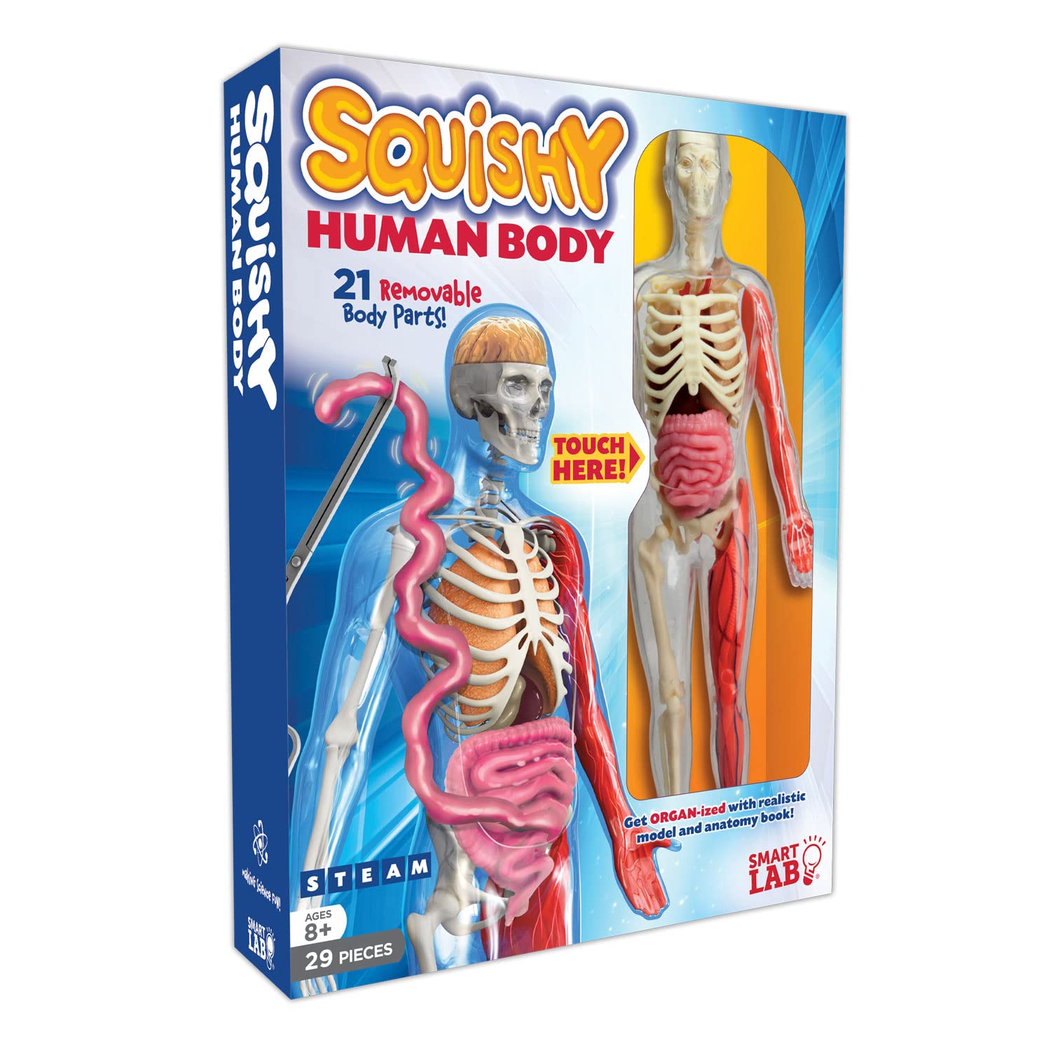 Mua Squishy Human Body trên Amazon Nhật chính hãng 2025 | Fado