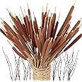 Amazon.com: 45pcs Large Natural Brown Cattails Bundles - Dried Flowers ...