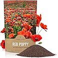 Amazon.com : Red Poppy Seeds - Bulk 1/4 Pound Bag - Over 800,000 ...