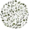 Amazon.com: 100Pcs Small Green Leaf Stickers, Obujopal Nature Plant ...