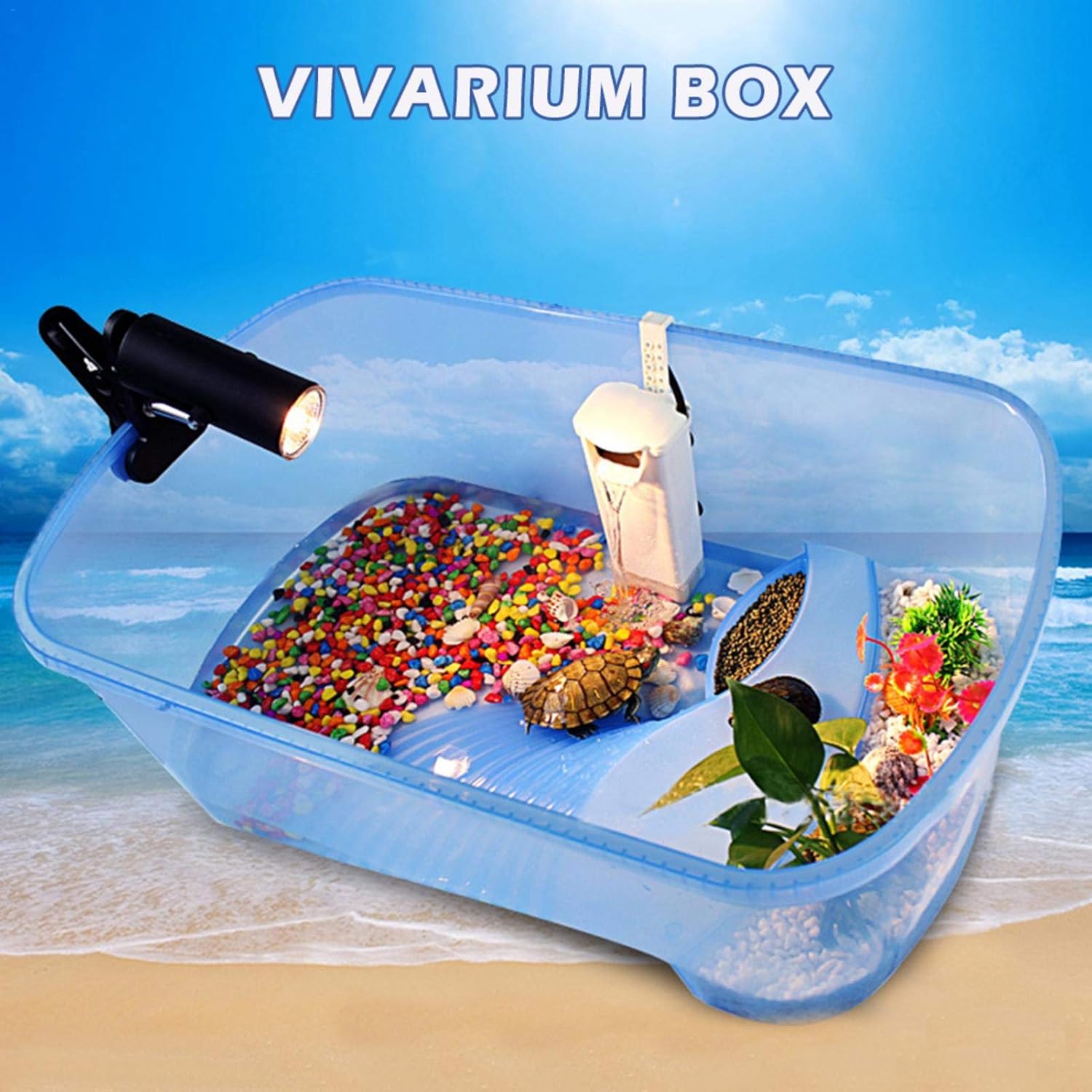 Tortoise Table Tortoise Run Hoese Reptile Turtle Tortoise Aquarium Tank ...