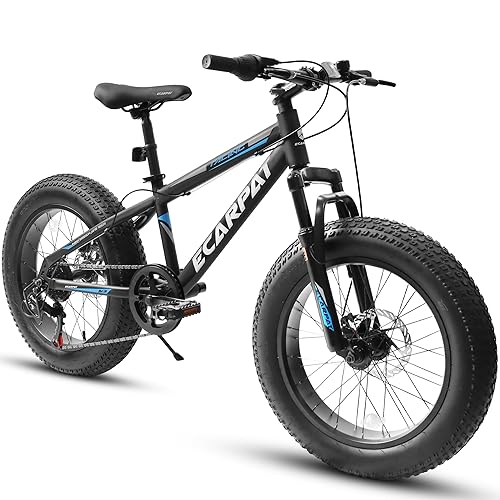A20316 20 Inch Fat Tire Bike Adult Youth Full 7 Speed Mountain Bike ...