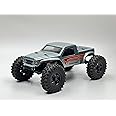 Amazon.com: Helidirect HobbyPlus CR-18P EVO PRO 1/18 Scale RC Rock ...