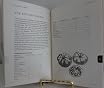 The Almanac: A Seasonal Guide to 2020: Amazon.co.uk: Leendertz, Lia ...