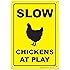 Amazon.com : SLOW - Chickens At Play Sign : Yard Signs : Garden & Outdoor