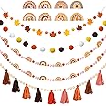 Amazon.com: Sumind 5 Pcs Classroom Garland Decorations Tassel Garland ...