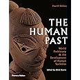 Amazon.com: The Human Past: World History & the Development of Human ...