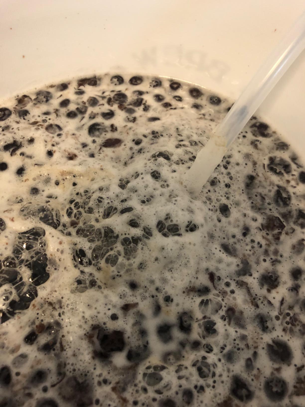 $6/mo - Finance LD Carlson 4980 Complete Oxygenation System with Pump ...