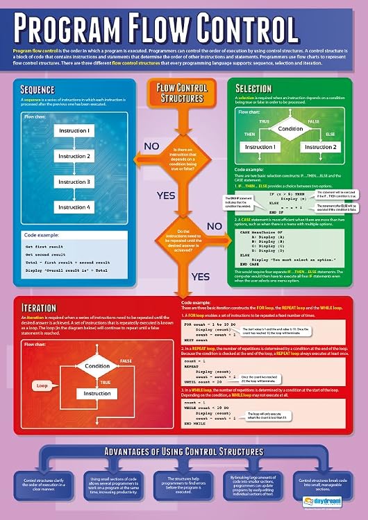 Daydream Education Program Flow Control Poster Laminated Large Format ...