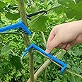 Amazon.com : WLSANX Tree Branch Bender 30pcs, Fruit Tree Limb Spreaders ...