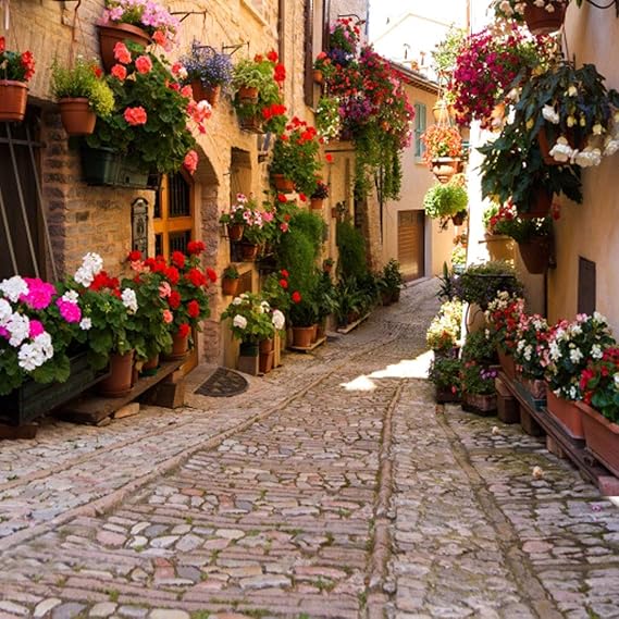 5x7ft Italy Travel Themed Photography Backdrop Italian Town Pot Flowers ...