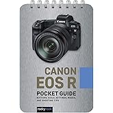 Nikon D500: Pocket Guide: Buttons, Dials, Settings, Modes, and Shooting ...
