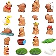 Amazon.com: NIBERDA 20 pcs Mini Capybara Figurines, Resin Tiny Capybara Figures Animals for ...