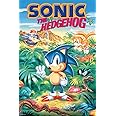 Amazon.com: Pyramid America Sonic The Hedgehog Sonic 3 Box Art Sega ...
