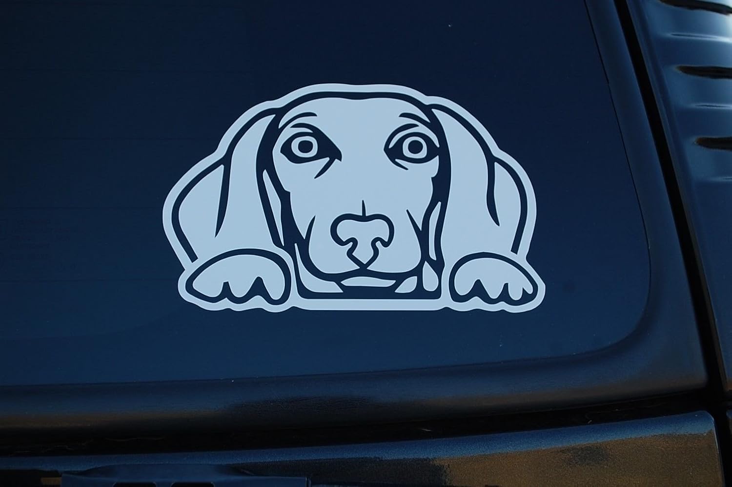 Amazon.com: Five Star Graphics Dachshund Weiner Dog Sticker Vinyl Decal ...