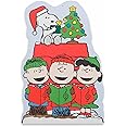 Amazon.com: Peanuts Charlie Brown, Snoopy and Friends Caroling Metal ...