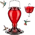 Amazon.com : Kingsyard Glass Hummingbird Feeder - 6 Bee Guard Feeding ...