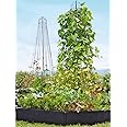 Amazon.com: Gardeners Supply Company Garden Maypole Plant Support ...