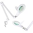 Brightech LightView PRO Magnifying Desk Lamp, 2.25x Light Magnifier ...