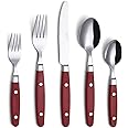 ANNOVA Silverware Set 20 Pieces Stainless Steel Cutlery Color Handle ...