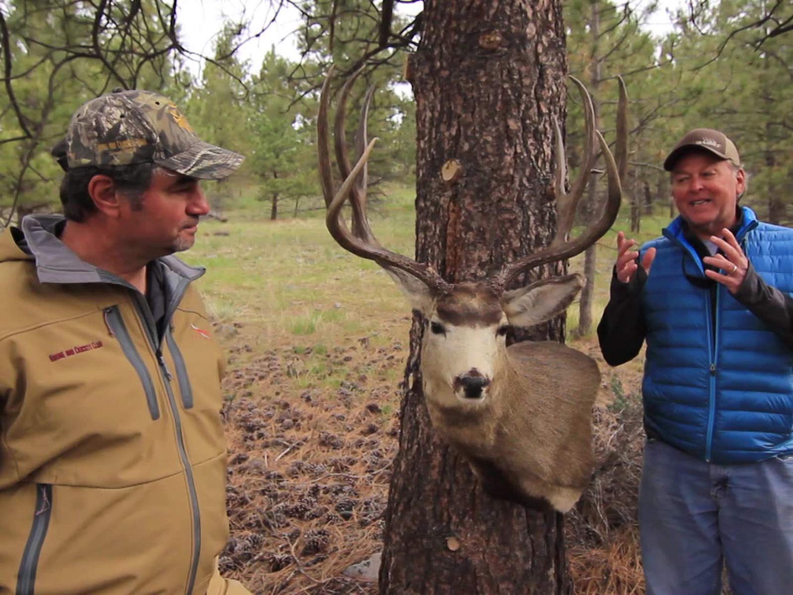 Watch Big Deer TV - Season 6 | Prime Video