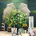 Amazon.com: Newest Grow Light for Indoor Plants,Adjustable Plant Sun ...