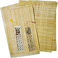 Amazon.com: 15 Egyptian Blank Papyrus Paper 12" X 8" (30 x 20 cm ...