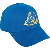 Amazon.com: Desert Cactus University of Delaware Baseball Hat Fightin ...