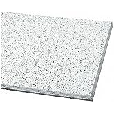 Armstrong Ceiling Tiles; 2x2 Ceiling Tiles - 16 pc White Ceiling Tiles ...