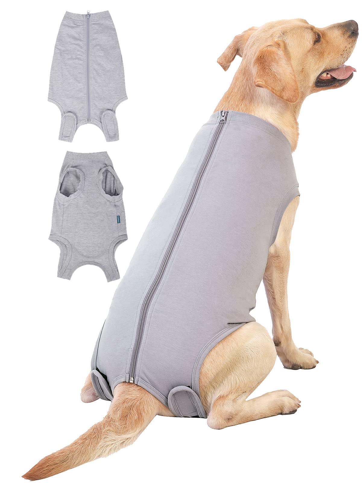 Dog Onesies After Surgery