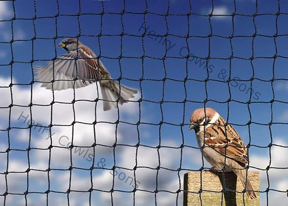 Bird Netting For the Garden 5m x 5m 19mm Anti Sparrow Small Mesh Heavy ...