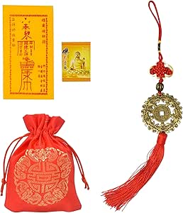 Feng Shui Coin Chinese Knot “WU FU” Luck Success Wealth Home Decoration ...