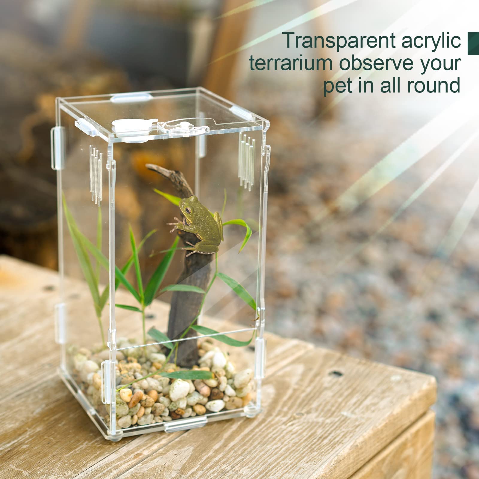 Mua BETAZOOER Acrylic Mini Reptile Tank Habitat Transparent Terrariums ...