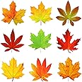 Amazon.com : Fall Bulletin Board Decorations Fall Cutouts for Classroom ...