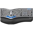 Amazon.com: ProtoArc Backlit Wireless Ergonomic Keyboard, EK01 Plus ...