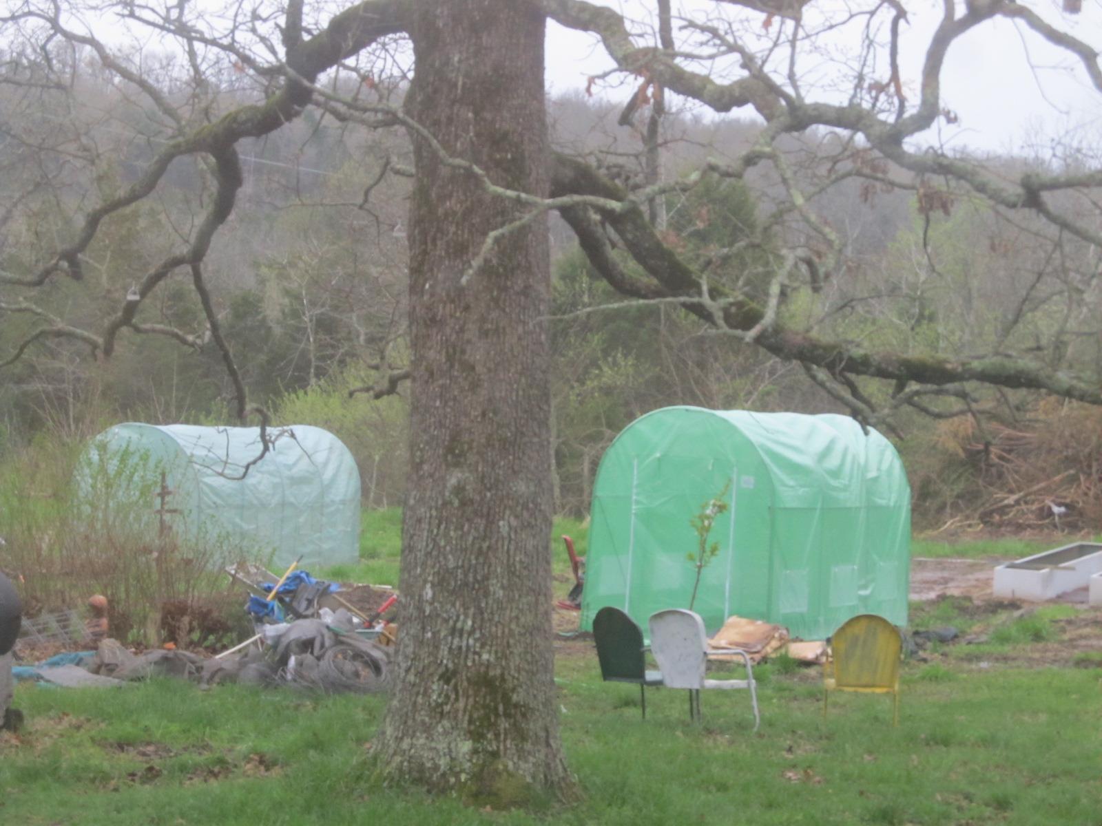 $13/mo - Finance Delta 20'x10' Greenhouse Triangle (Weighing 149 lbs ...