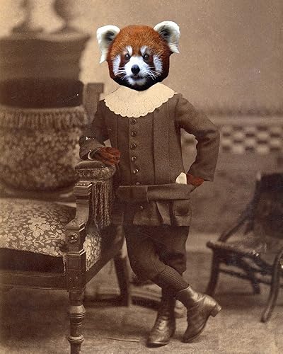Amazon.com: Victorian RED PANDA BOY Altered anthro portrait ART print ...