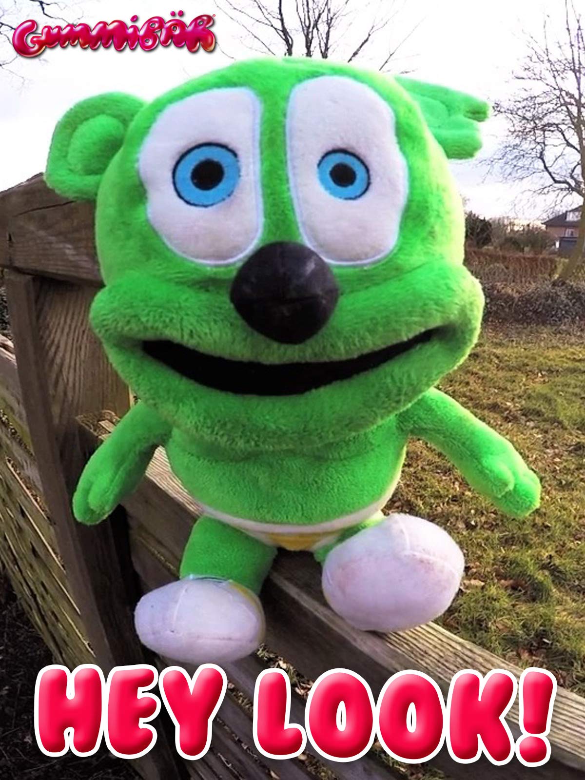 Watch Gummy Bear - Hey Look | Prime Video