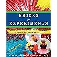 Bricks and Experiments: Build Challenges & Science Experiments to ...