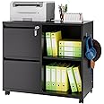 Amazon.com: NODHM Lateral 2 Drawer Filing Cabinet with Lock, Mobile ...