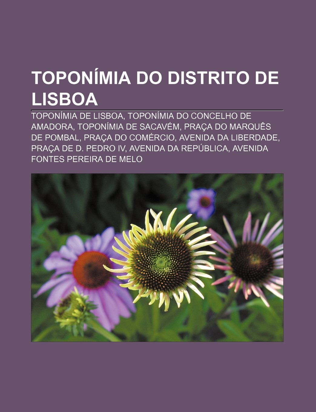 Toponimia Do Distrito de Lisboa: Toponimia de Lisboa, Toponimia Do ...