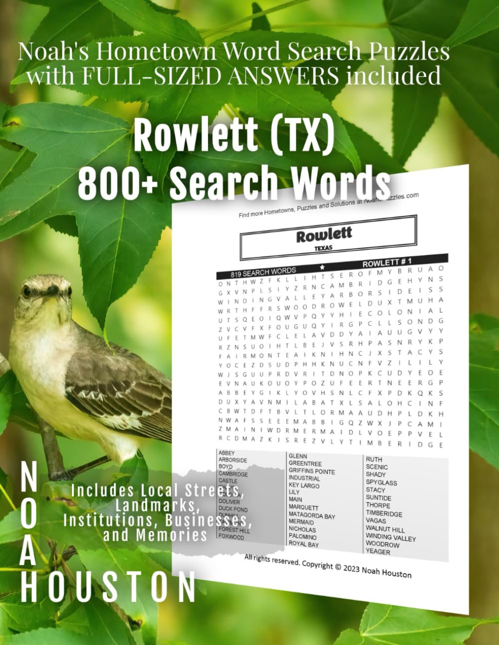 Mua Noah's Hometown Word Search Puzzles with FULL-SIZED ANSWERS ...