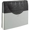 MARTIN Direct Vent Propane Wall Heater with Room Thermostat, 20,000 Btu ...