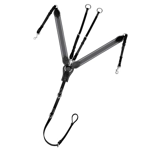 Exion 3-Point English Breastplate for Horses with Running Martingale ...