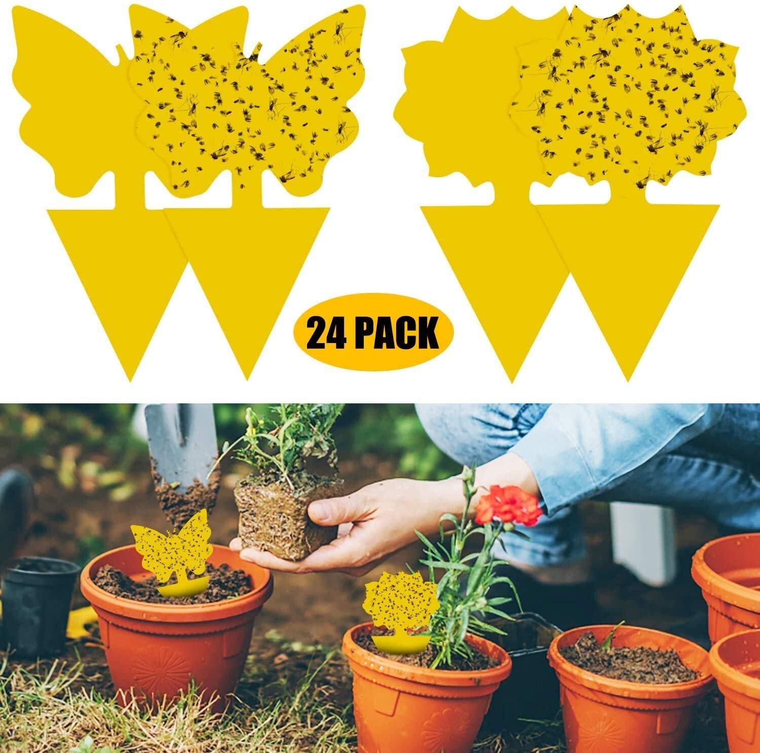 Buy 24 Pack Dual-Sided Yellow Sticky Traps Gnat Trap PVC Waterproof for ...